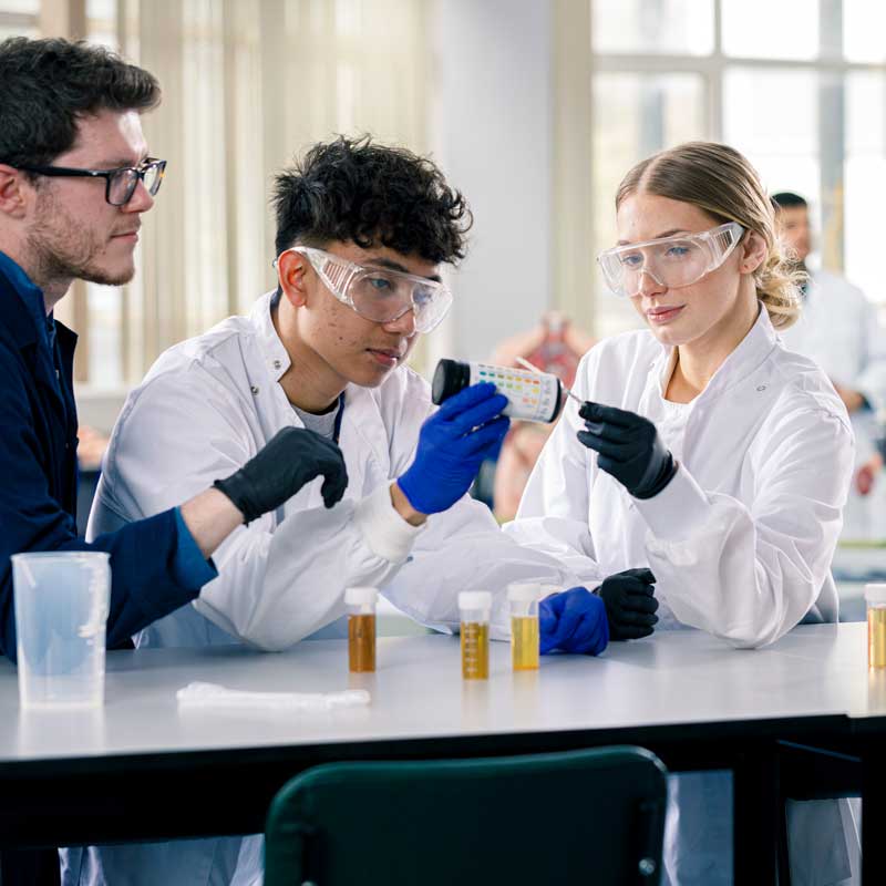 Medicine with a Gateway Year | Hull York Medical School